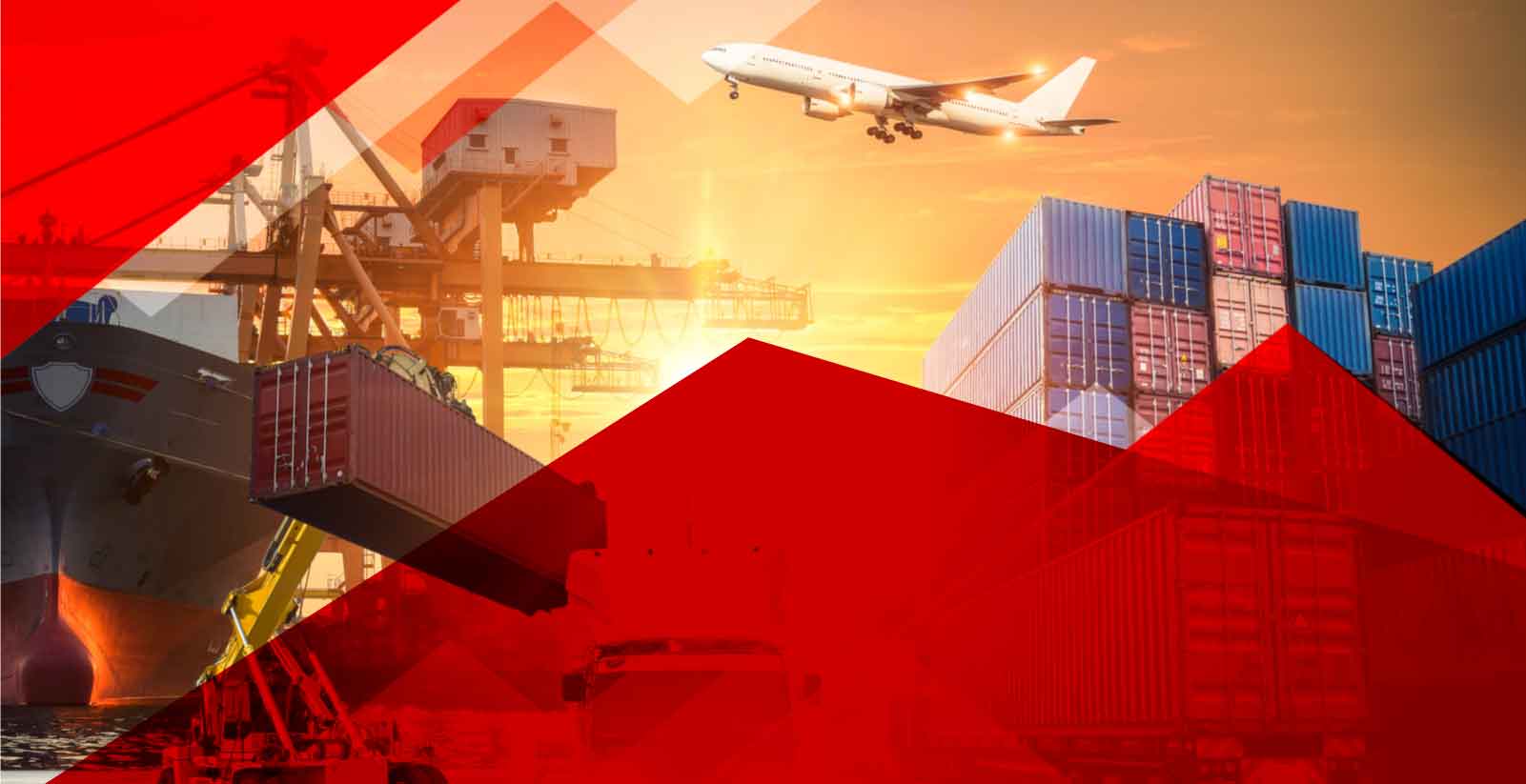 Almaviva - Logística Integral - almaviva